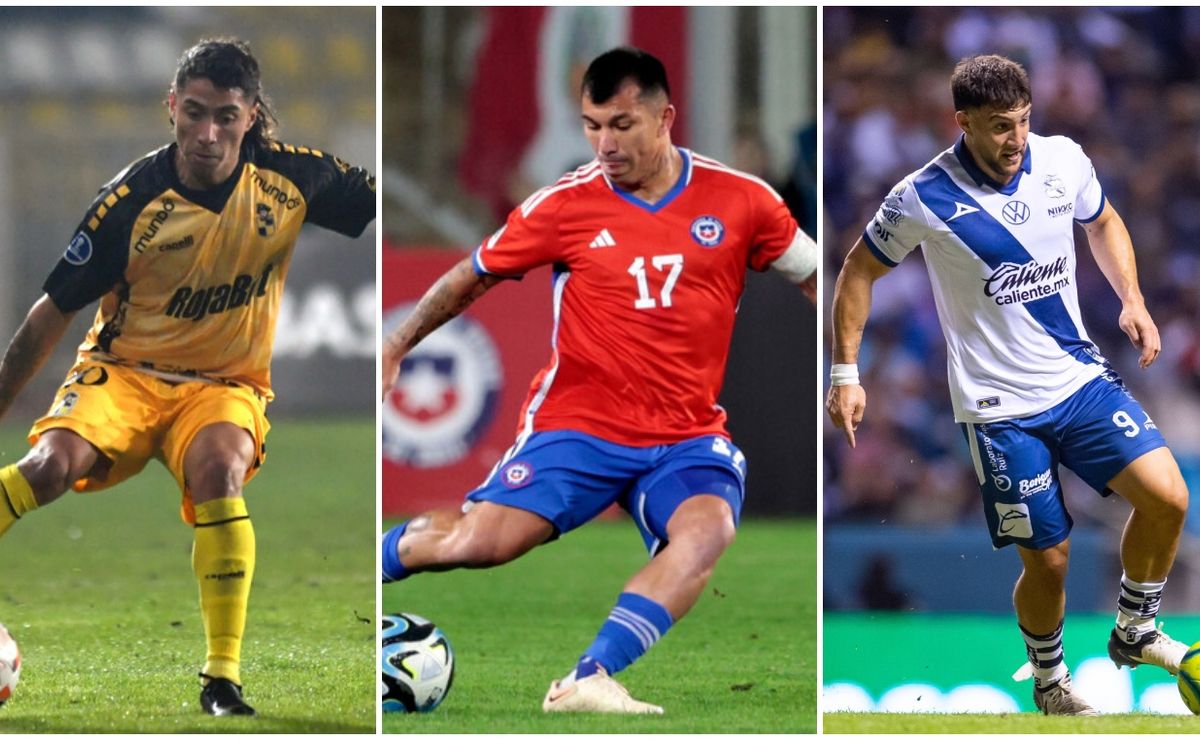 Noticias de Colo Colo hoy: Cabral, Cavallini, Amor, Medel y más - DaleAlbo